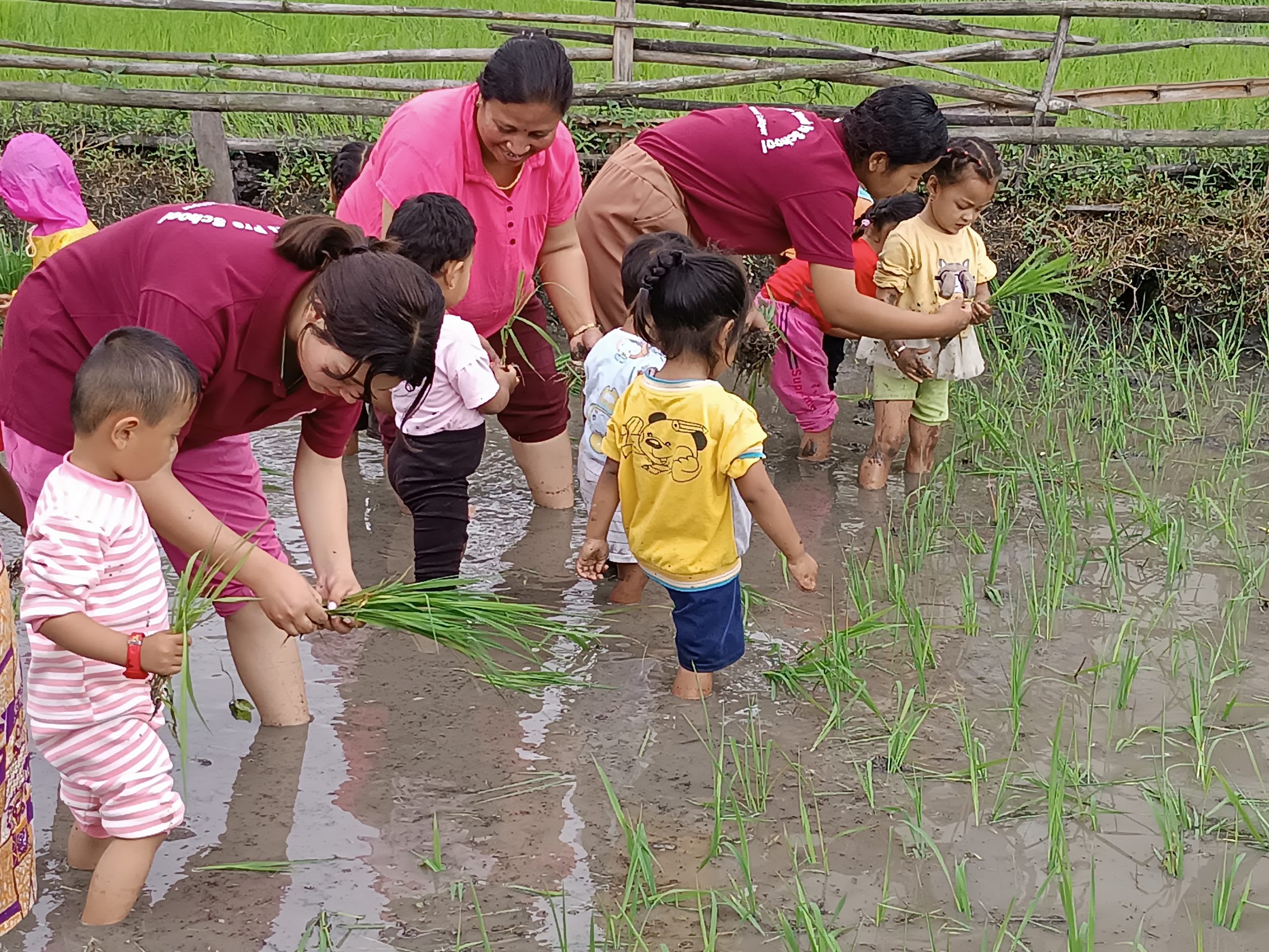 Practicing Rice Planting - Bungamati Foundation Nepal